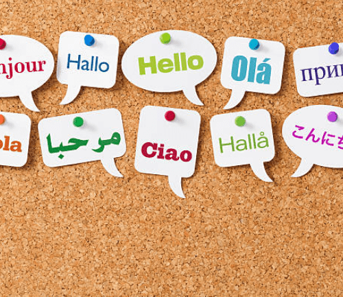 Language Quality Assurance Services | Morningstar Translation